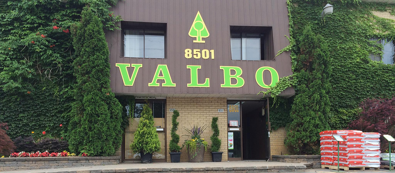 Valbo